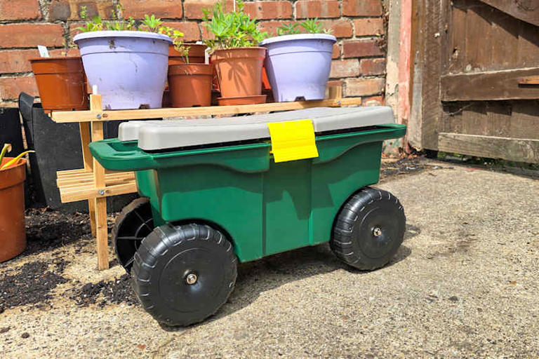 This Rolling Storage Cart Is So Cute and Perfect for My Small Backyard
