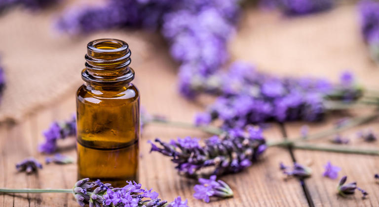 It's bed bug season — spray this one thing on your mattress to keep ...