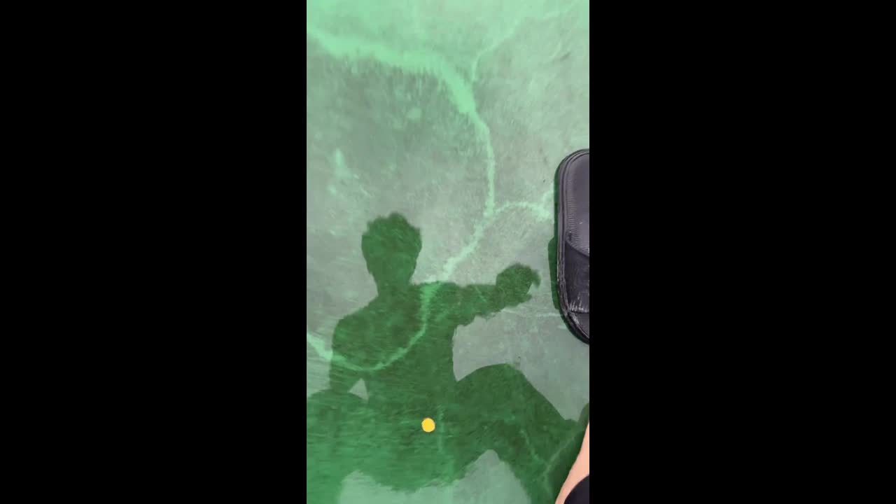 Dog slips on wet basketball court while playing fetch in Guangdong, China