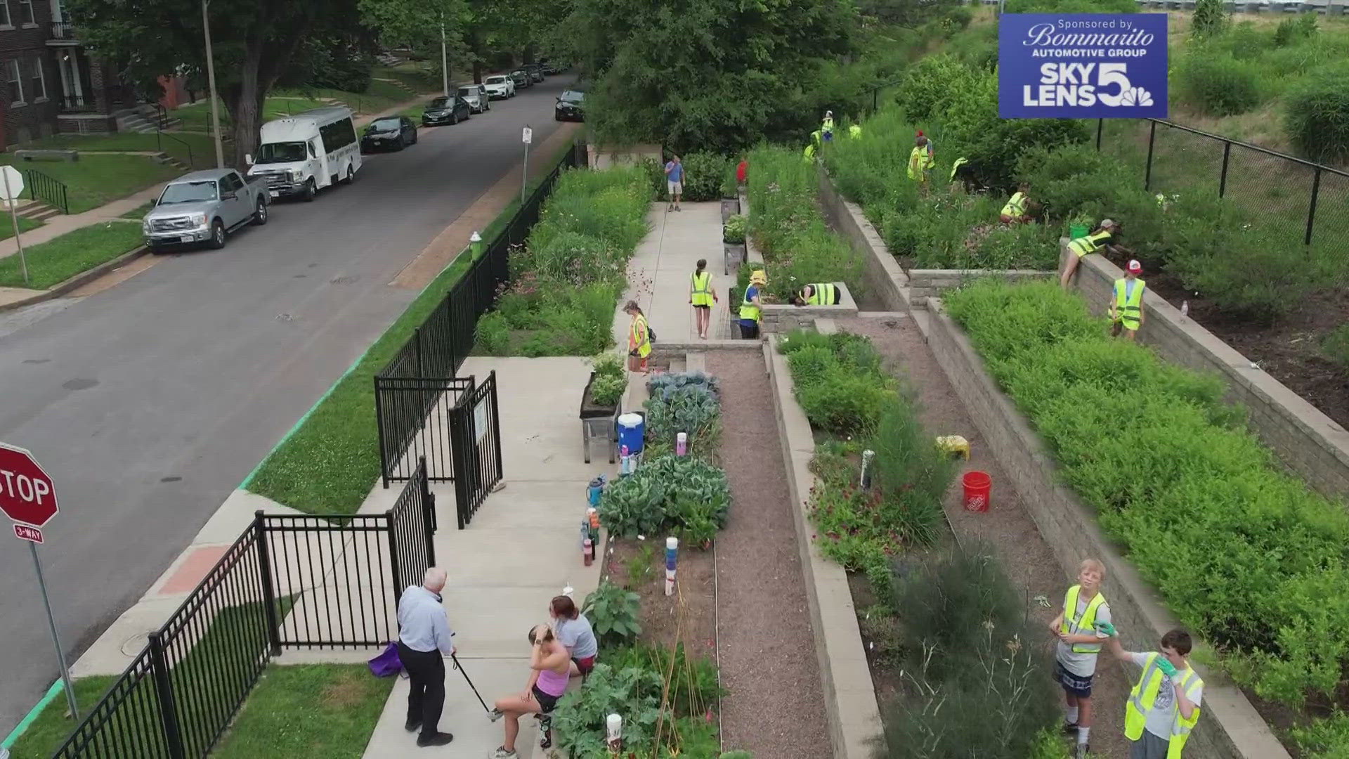 Highway embankment becomes hub for city gardening, future growth in St ...