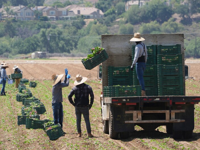 Americans will feel effects of immigration enforcement on farms, union ...