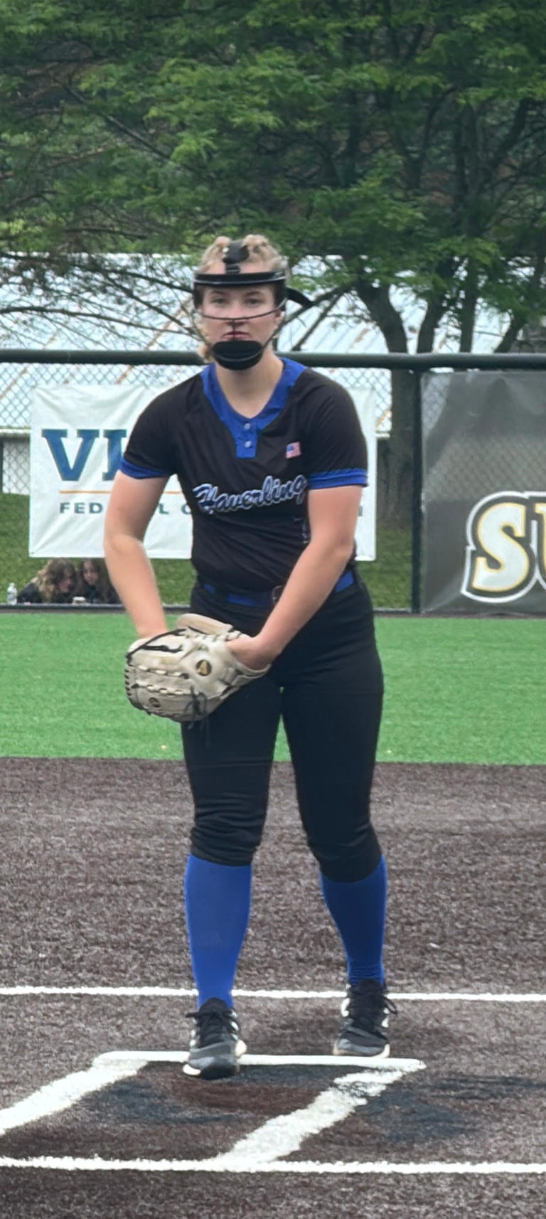 Haverling's season ends in loss to Chatham in softball state ...