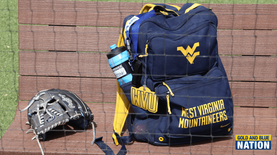 WVU picks up NCBWA Division II Pitcher of the Year