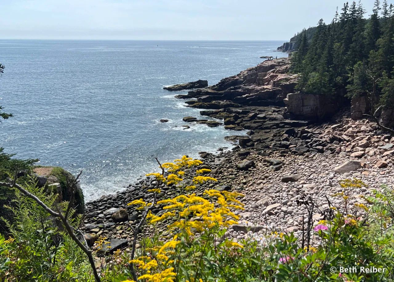 What's Special About Acadia National Park?