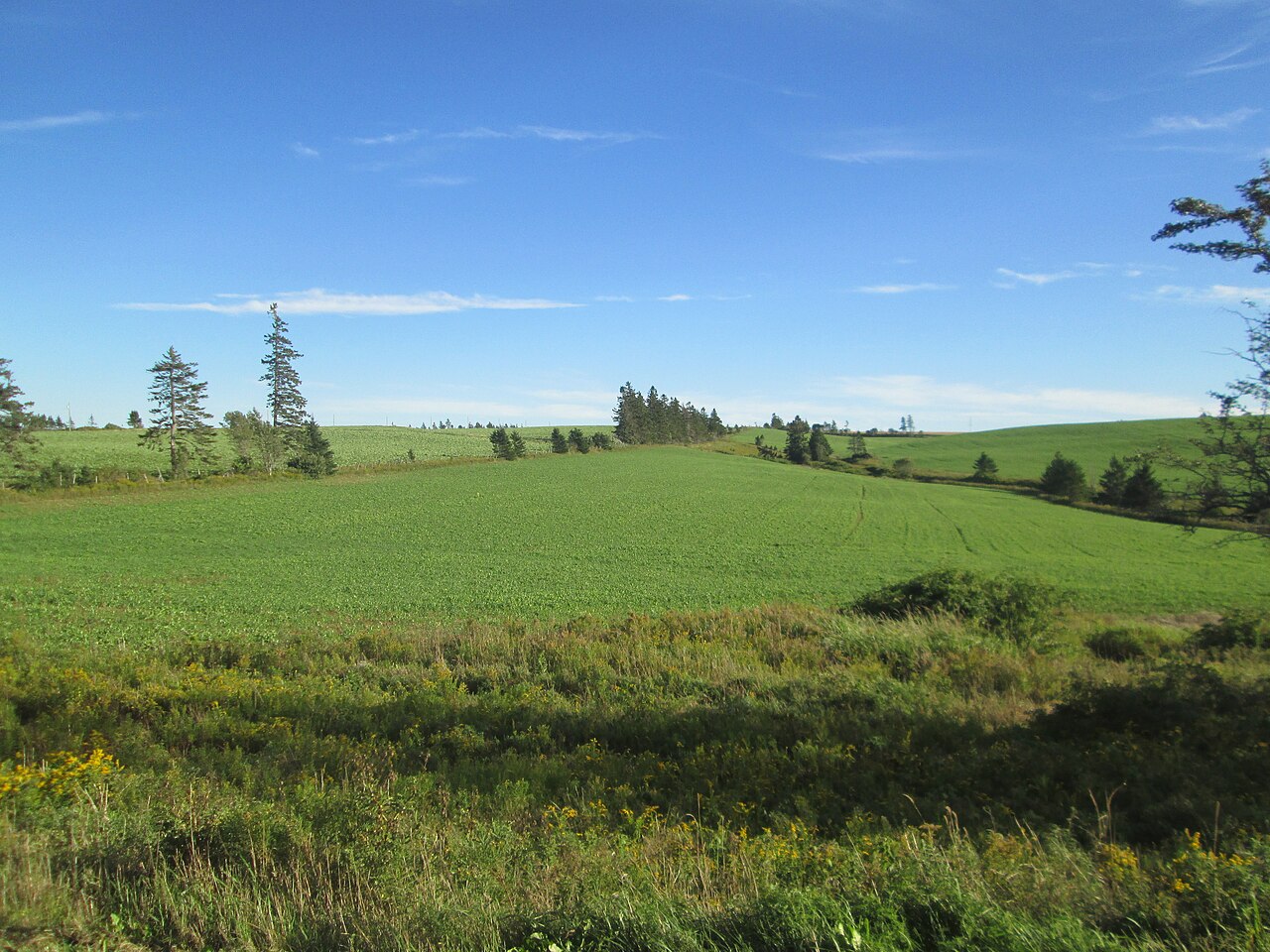 PEI’s Most Affordable Communities for Island Living