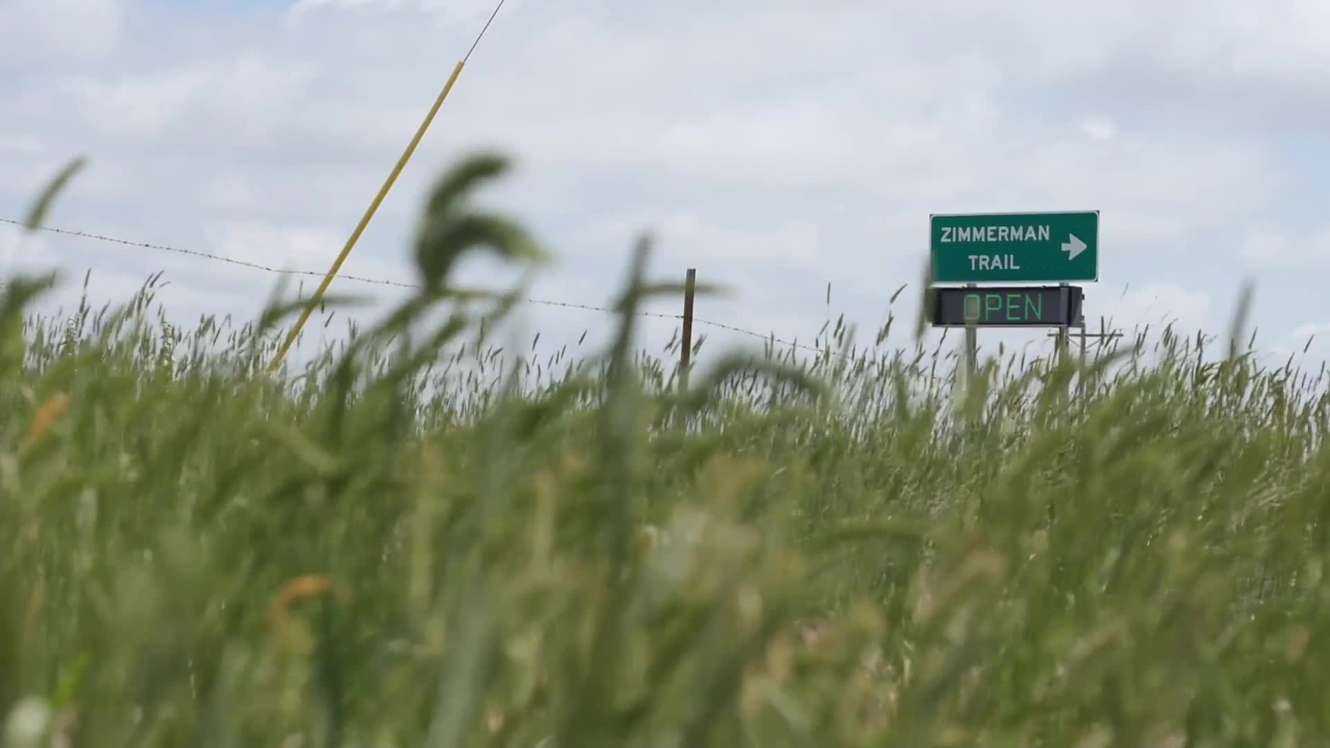 MTN 5:30 news on Q2 with Andrea Lutz 6-15-25