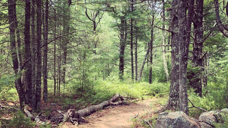 New England's Coastal Wildlife Sanctuary Just Outside Of Cape Cod ...