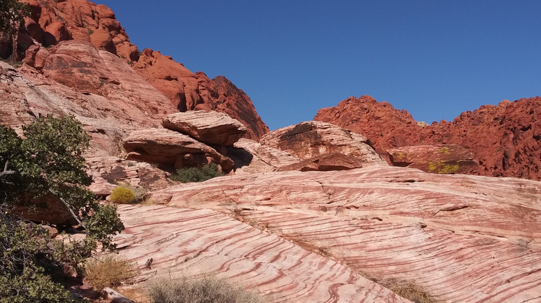 Nevada's No-Fee Canyon Just Outside Of Red Rock Is An Overlooked Hiking ...