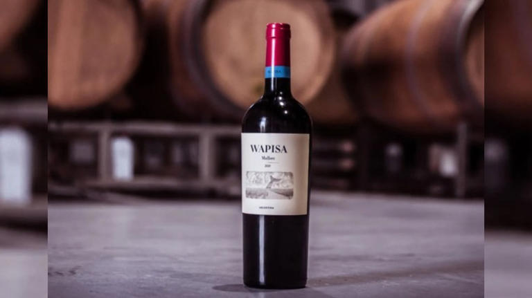 Argentine Malbec On A Budget: The Best Bottles Under $25