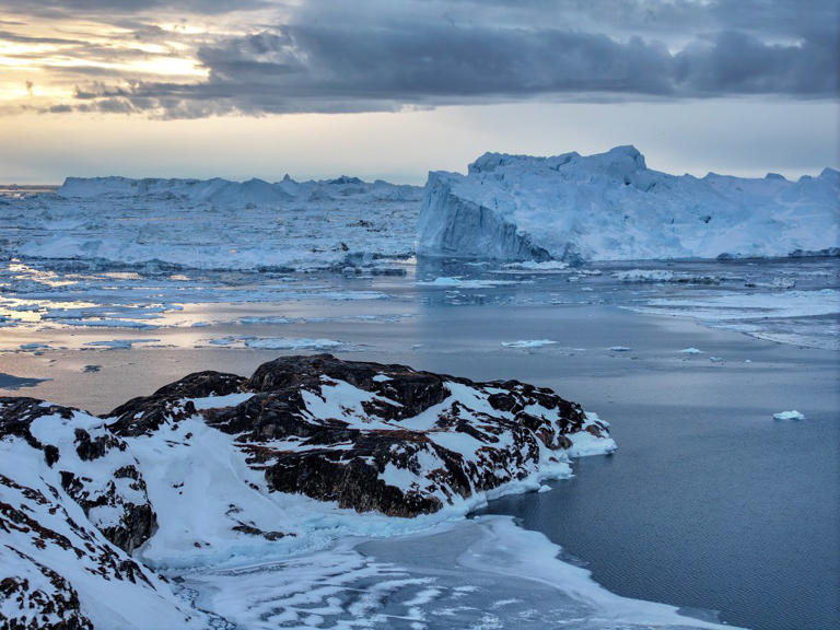 US Export-Import Bank considering $120M loan for Greenland rare earths ...