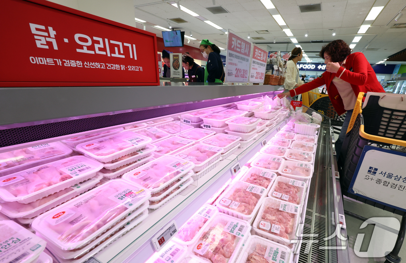 브라질 닭 수입 재개…'치킨값 도미노 인상' 우려도