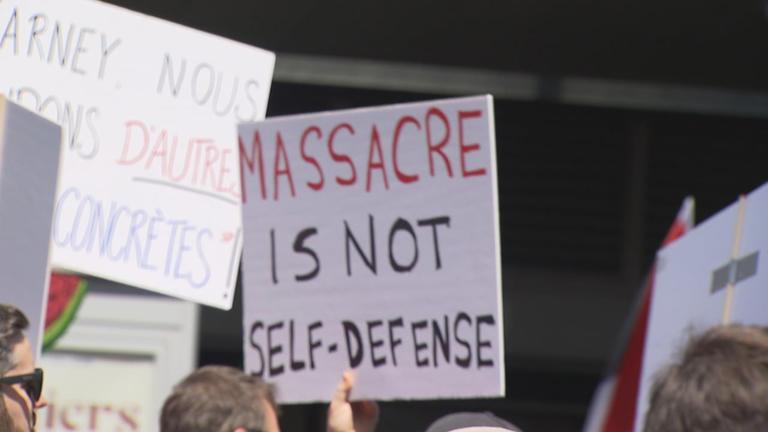 Protesters in Montreal show support for Gaza, denounce 'red lines ...