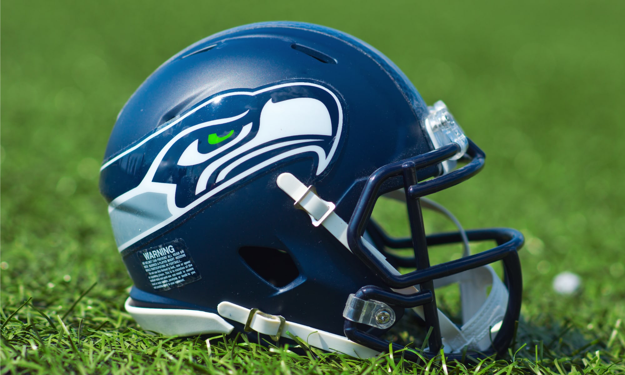 Who Owns the Seattle Seahawks? The History Of This NFL Team.