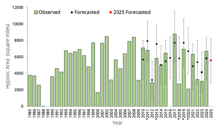 What is the “Dead Zone” in the Gulf?