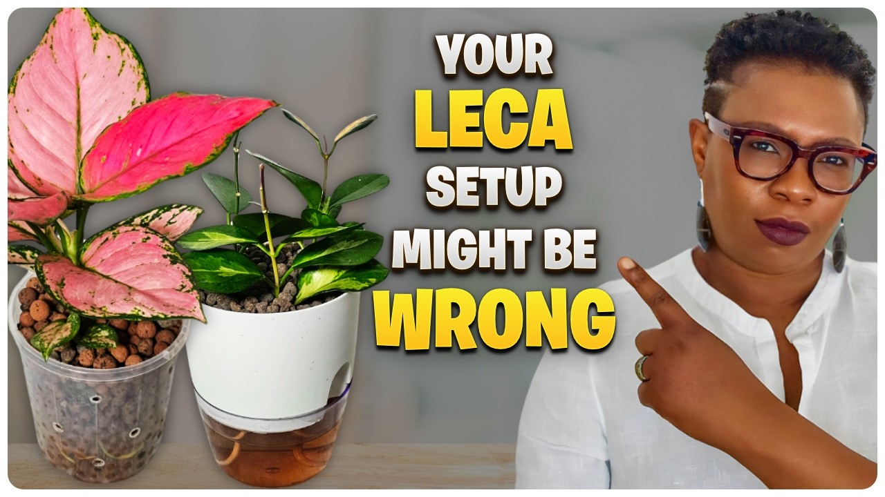 The Truth About Wick, Submerged, and Vase LECA Setups