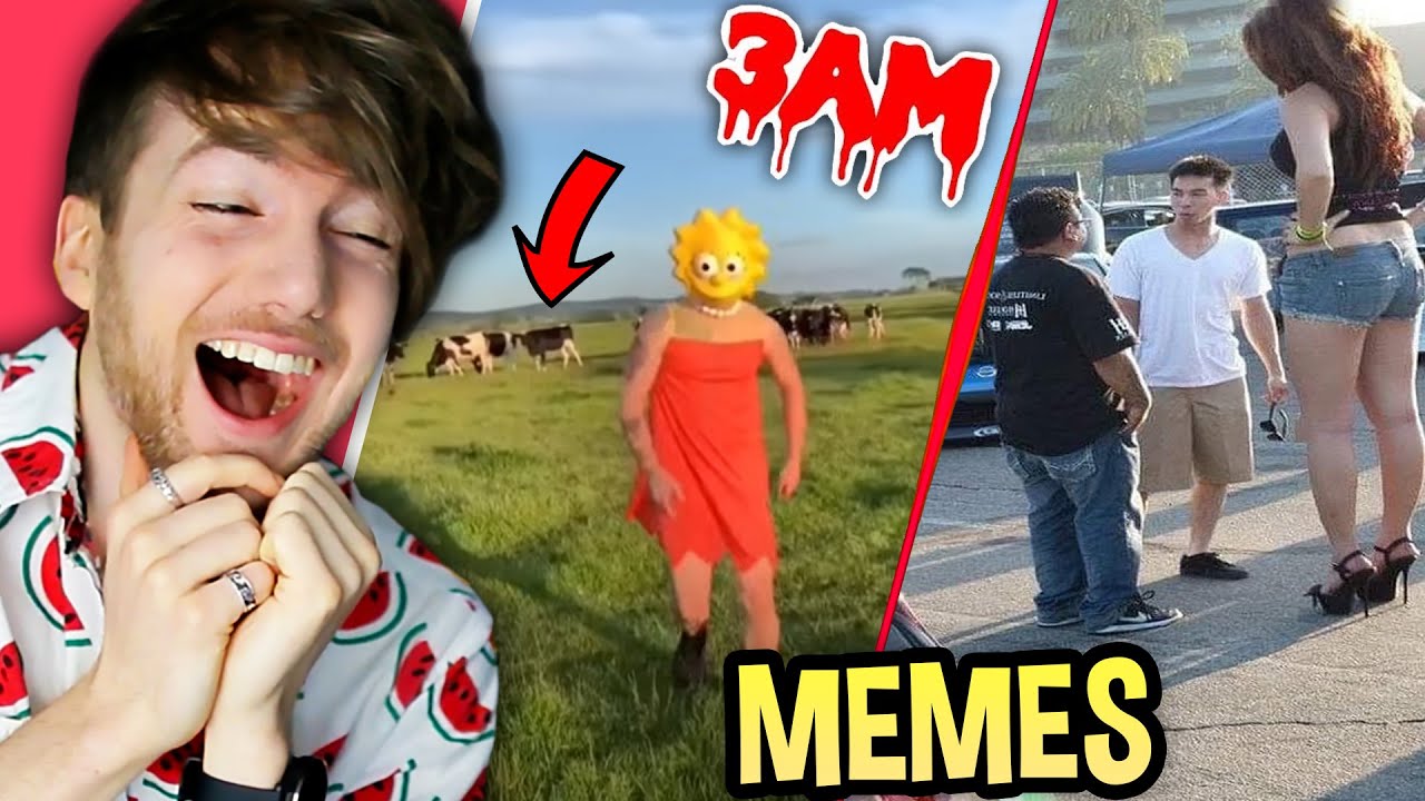 Memes I Found at 3AM