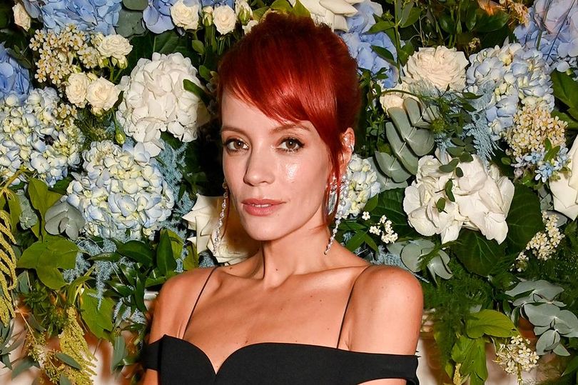 Lily Allen moves on from David Harbour split as she is spotted on 'date ...