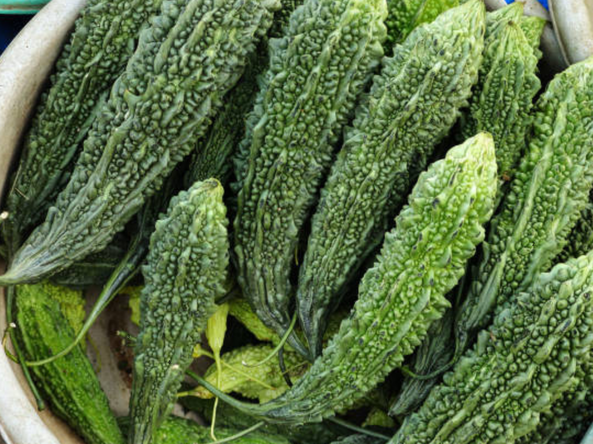 From lauki to karela: 6 bitter foods that quietly heal the organs