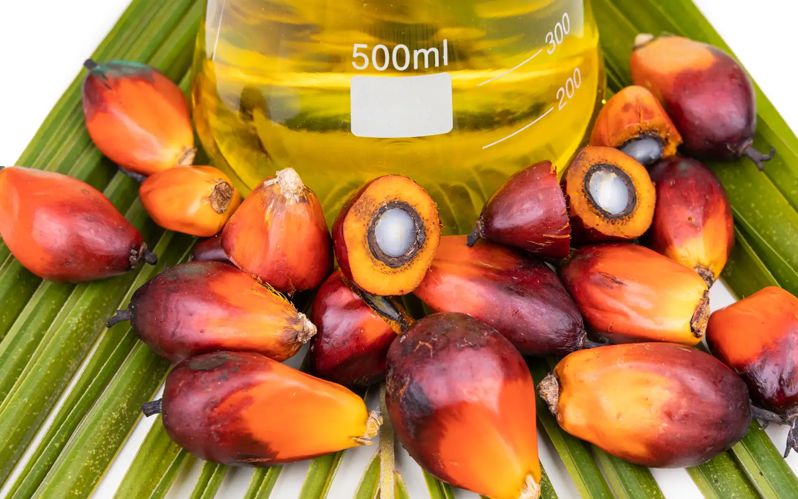 Unpacking the truth about palm oil consumption