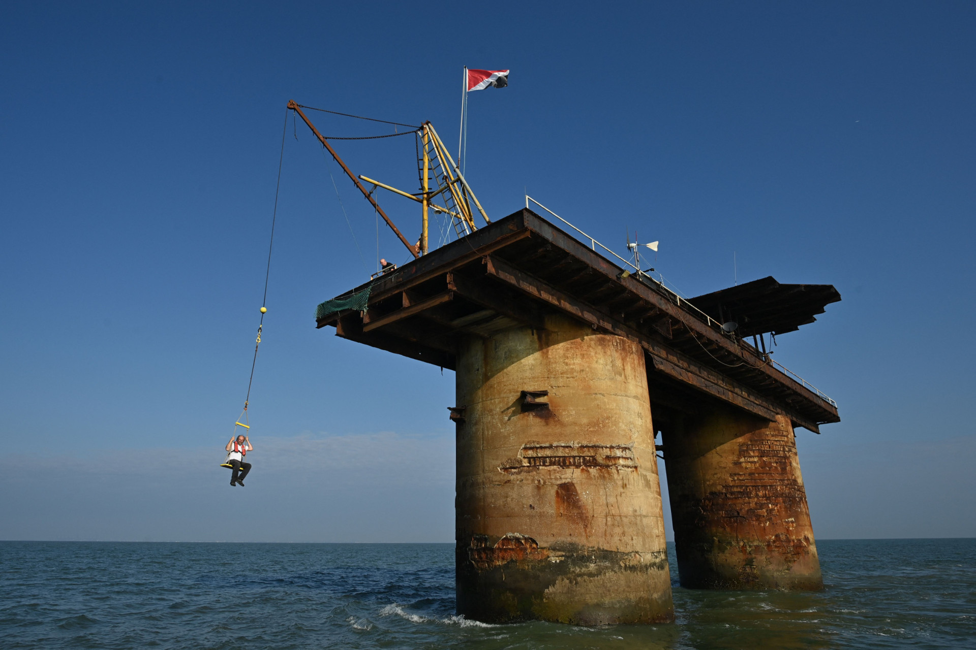 8 foods that help improve brain function and memory