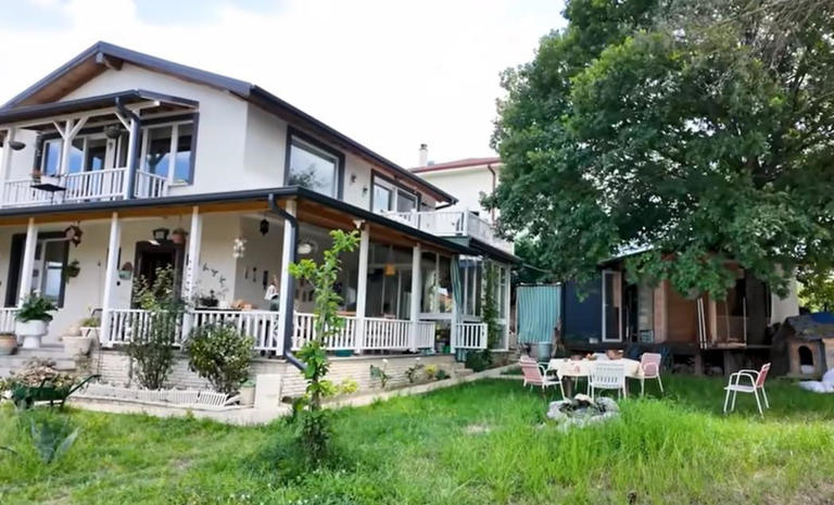 Ünlü oyuncu İznik'te arsa aldı... İlk zeytin hasadını yaptı!