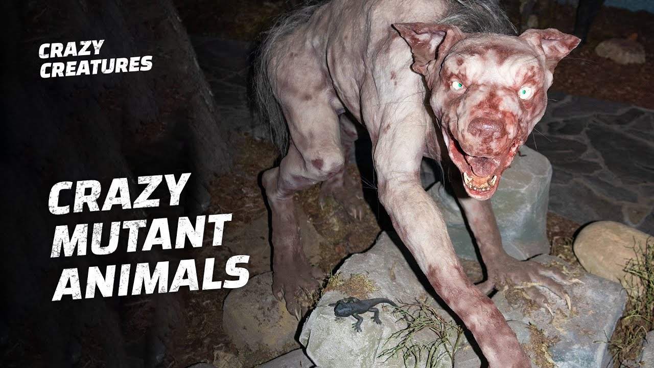 Mutant Animals That Look Too Strange to Be Real