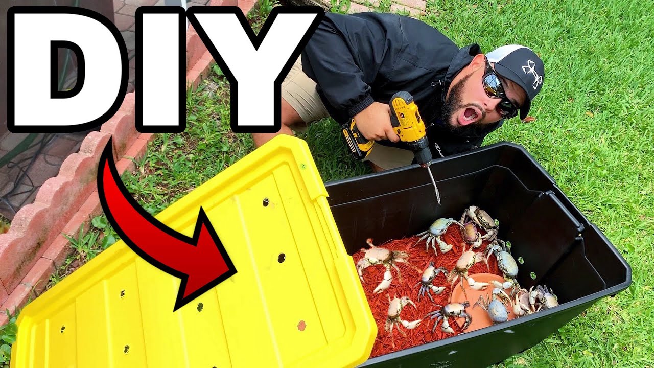 DIY Giant Mud Crab Terrarium-Aquarium Build!