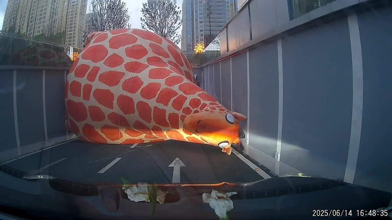 Giant Inflatable Giraffe Blown Away by Strong Winds in China, Nearly ...