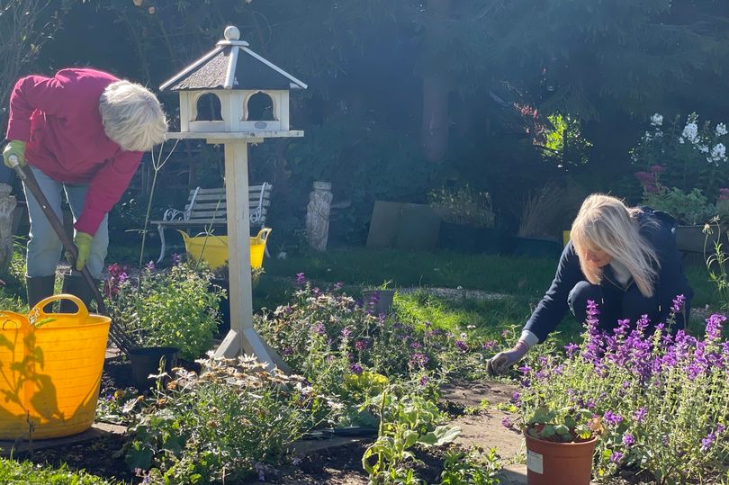 'Magical' Surrey charity garden raided by heartless burglars three times in a month