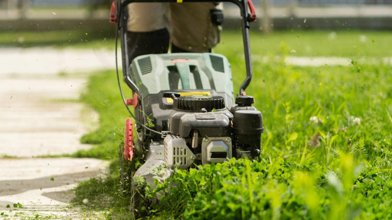 Cylinder Vs. Rotary Mowers: What's The Difference Between These Two ...