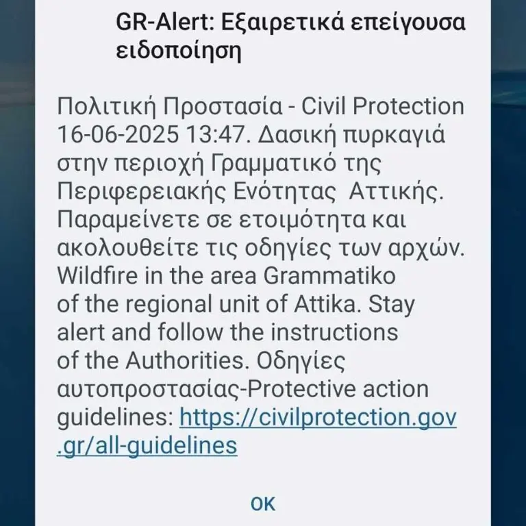 Μεγάλη φωτιά στο Γραμματικό - Μήνυμα του 112