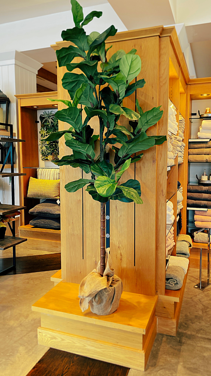9 extremely high-maintenance plants people should only grow if they ...