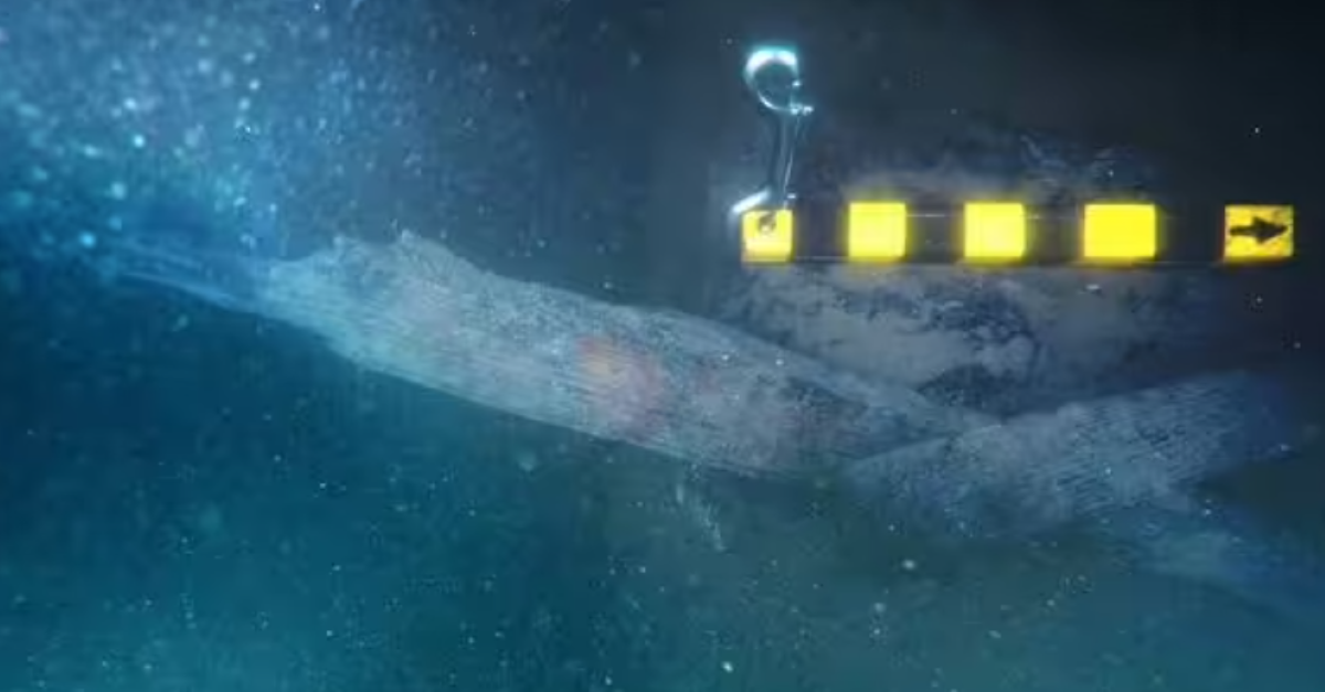 250-Year Mystery Cracked: Captain Cook’s Endeavour Found Off U.S. Coast