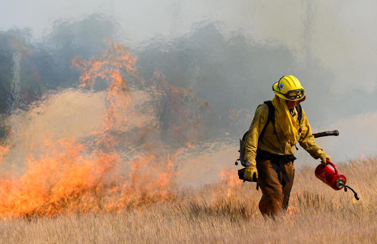 We set a big chunk of California wilderness on fire. You're welcome