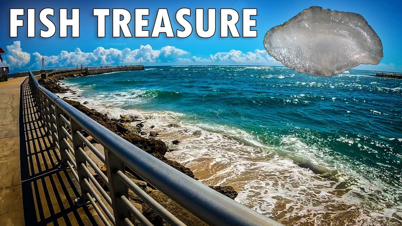 Fishing Secrets: What’s Really Inside Your Catch