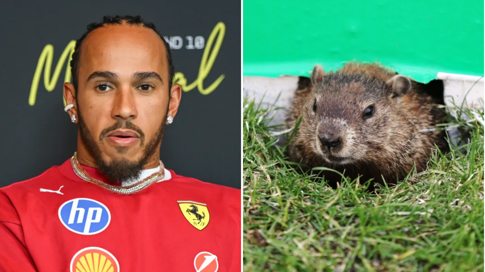 The moment Lewis Hamilton ran over a groundhog