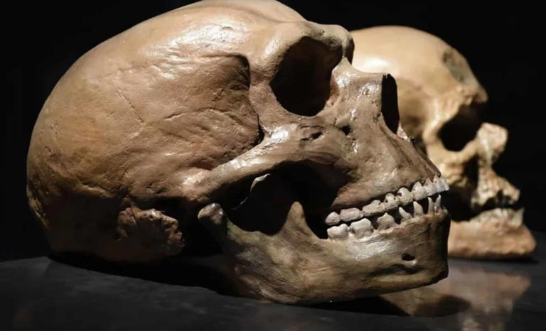 New Discovery Reveals Hidden Place Where Homo Sapiens and Neanderthals ...