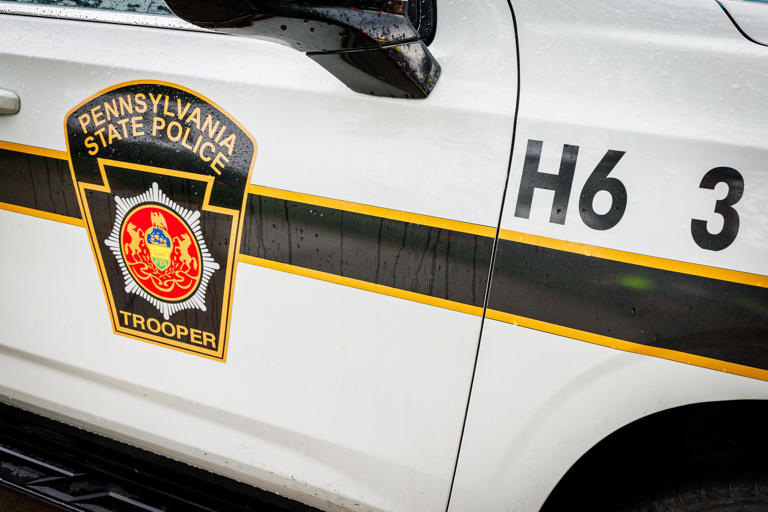 Trooper injured after suspect allegedly shut hand in door, police say