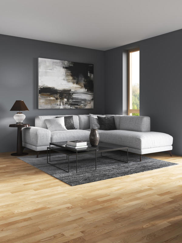 18 White & Gray Living Room Ideas From Farmhouse to Modern Vibes