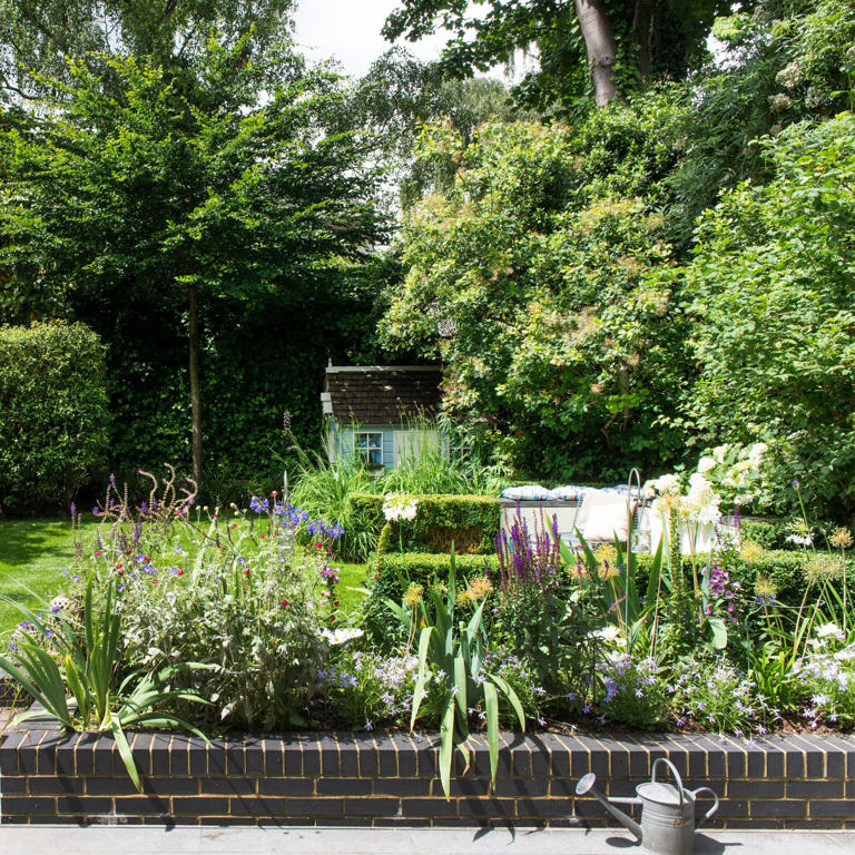 Experts are warning that overfeeding your plants can attract this pest ...