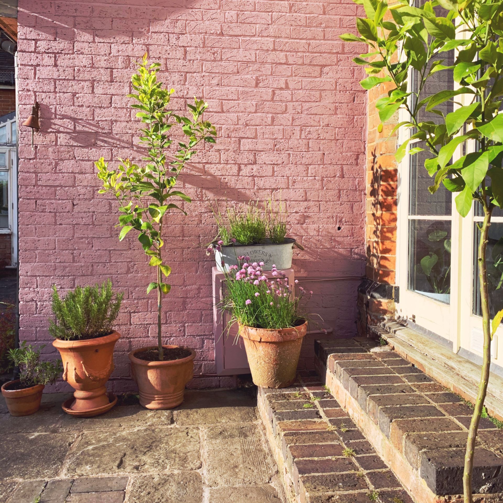 7 best paint colours to brighten up a gloomy north-facing garden ...