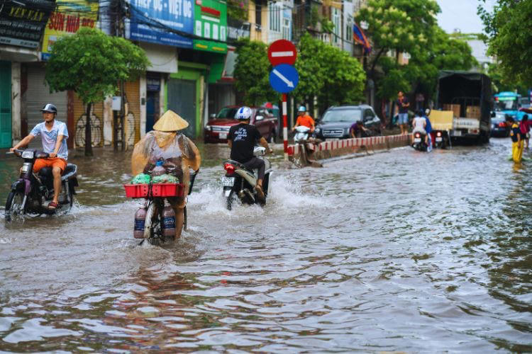 From Honeymoon Hoaxes to Monkey Mafia: A 21-Day Journey Through Vietnam ...