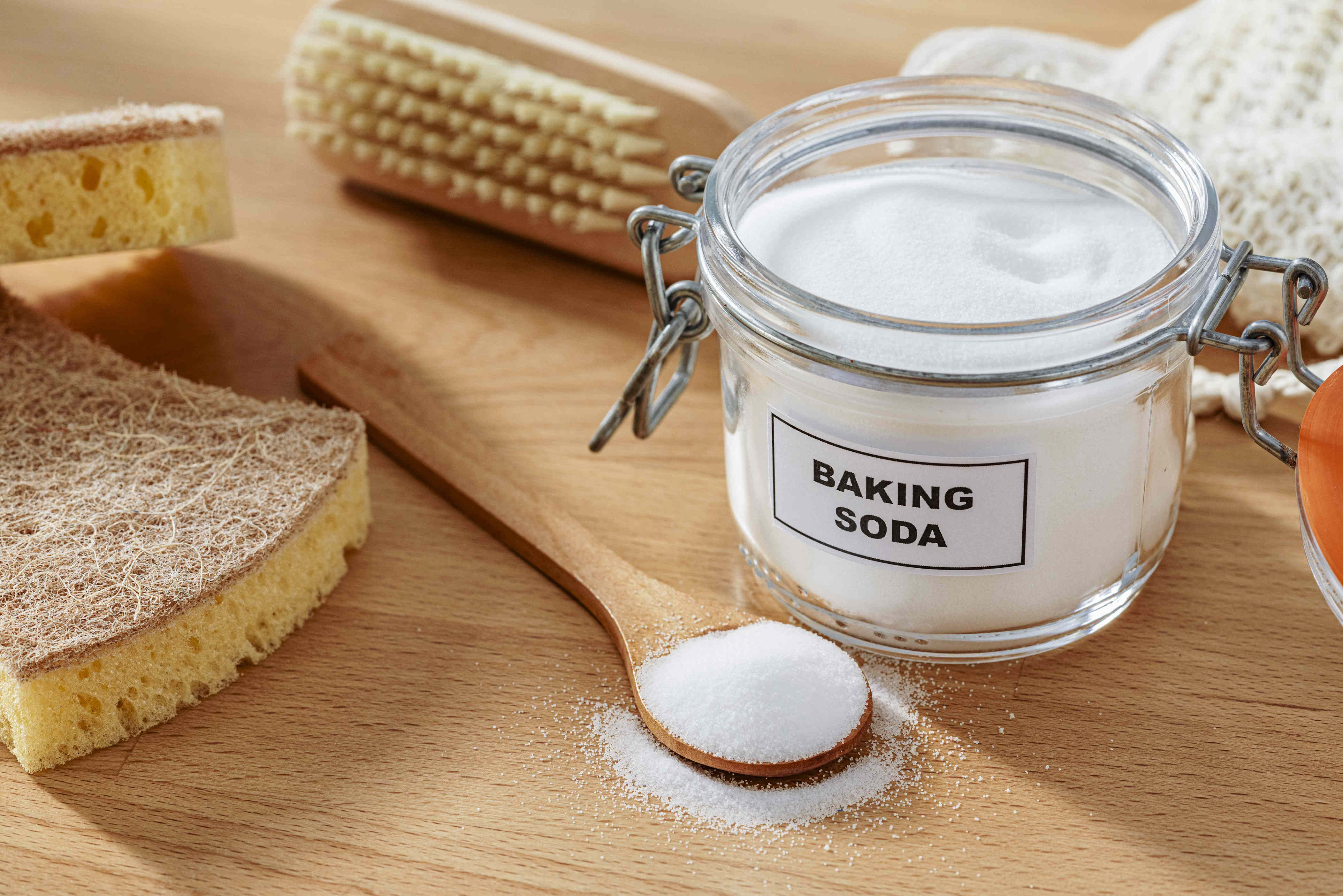 We Asked an Entomologist If Baking Soda Kills Maggots—And Her Answer ...