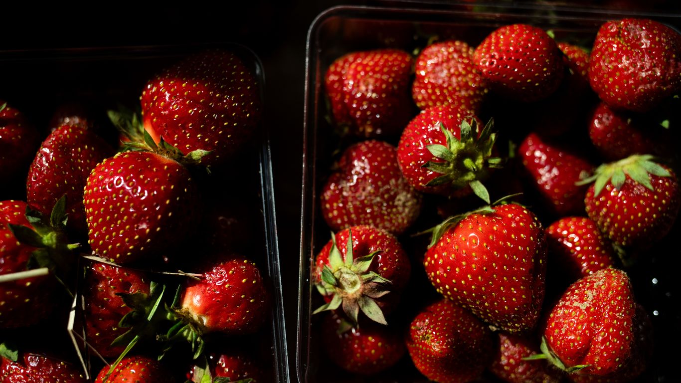Get your hands on Hood strawberries before they vanish