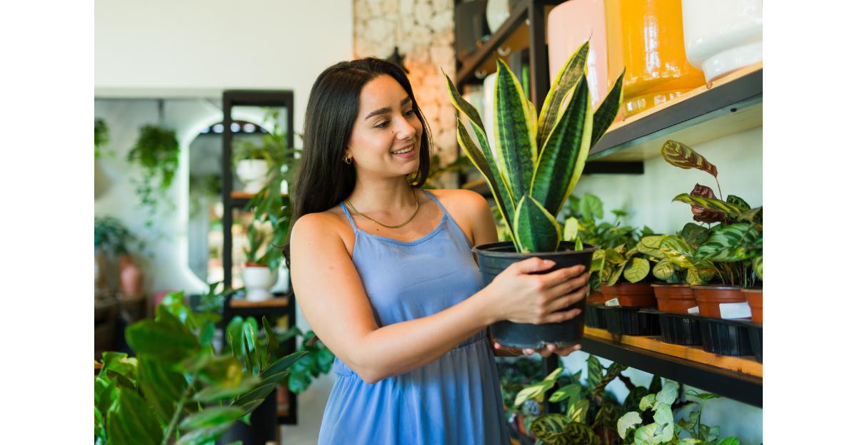 The Top 10 Trader Joe`s Plants Designers Always Pick Up
