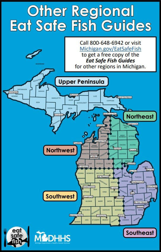 Which Michigan fish are safe to eat? Check out the 2025 Eat Safe Fish Guide