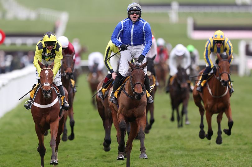 'I fancy 100-1 Cheltenham Festival winner to score at Royal Ascot'