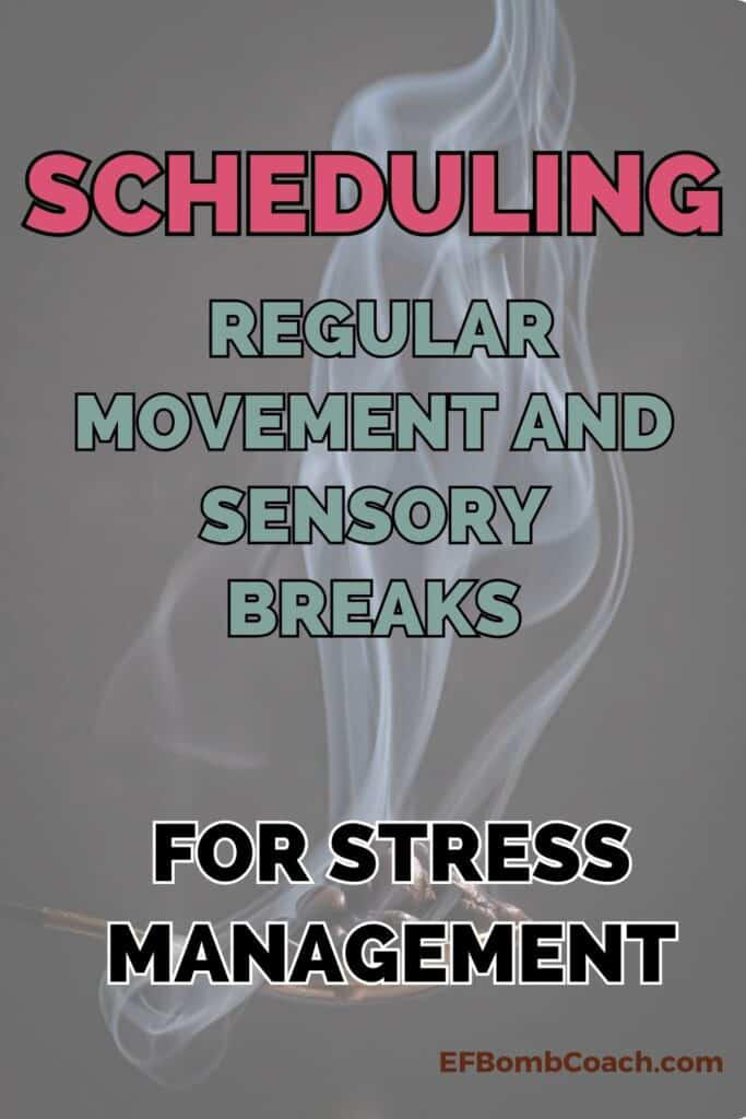 Scheduling Regular Movement and Sensory Breaks for Stress Management