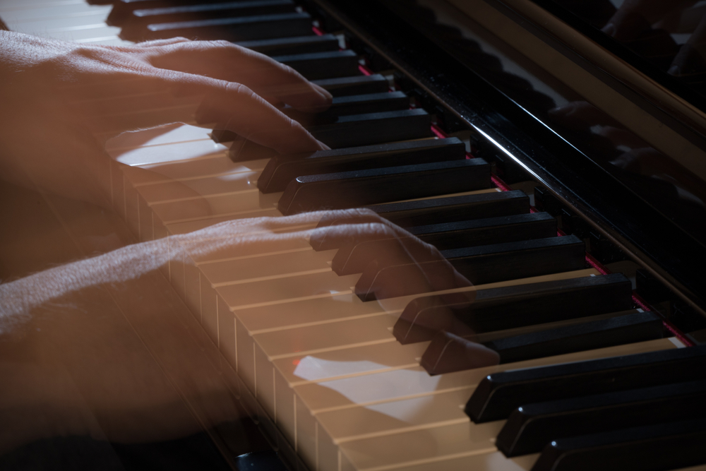 What Does Music Do to Your Dog? 7 Things You Probably Didn’t Know