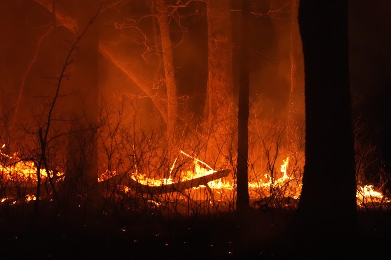 Mines Spung wildfire grows over the weekend, 80% contained